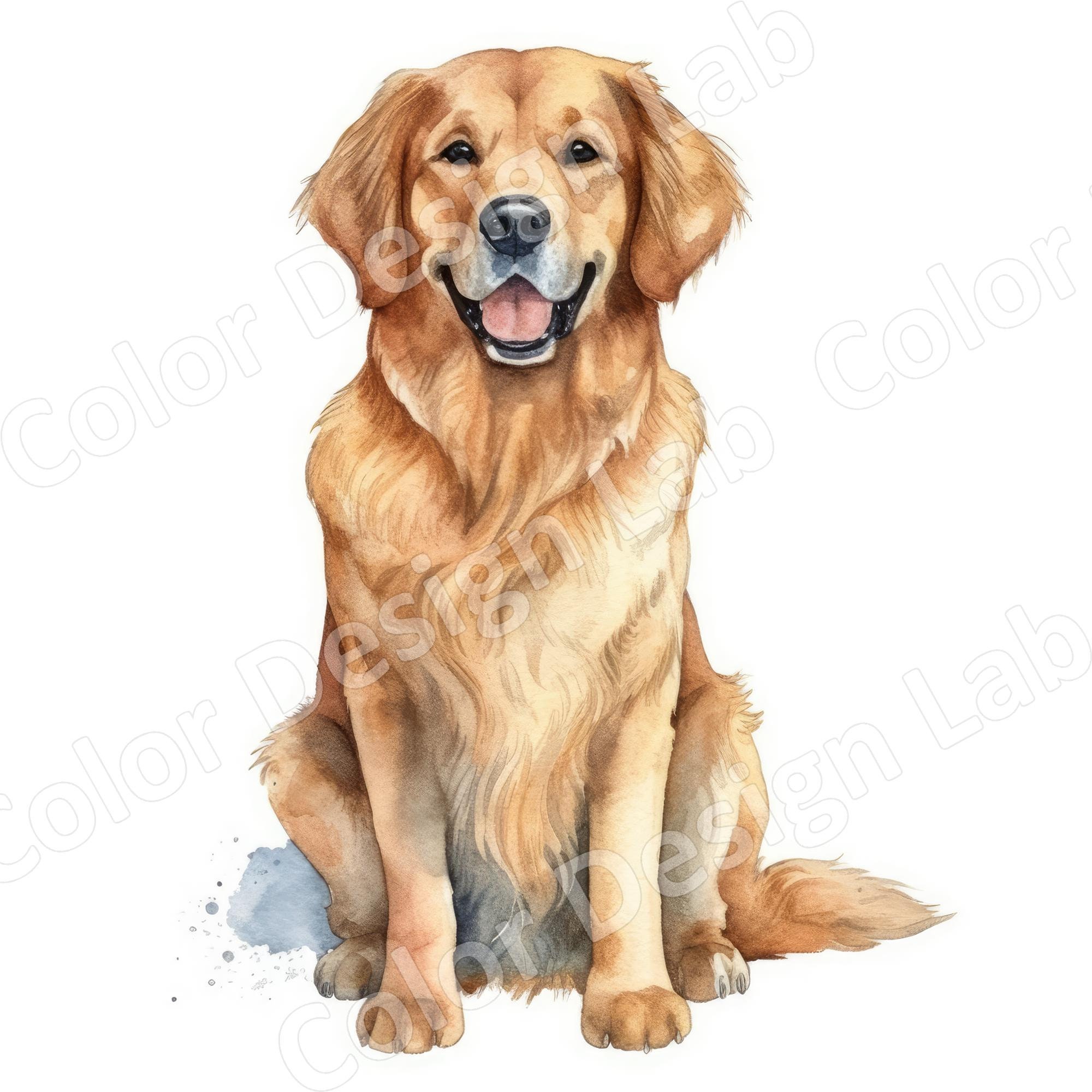 Golden Retriever Clipart Set of 8 Pngs Digital Download - Etsy