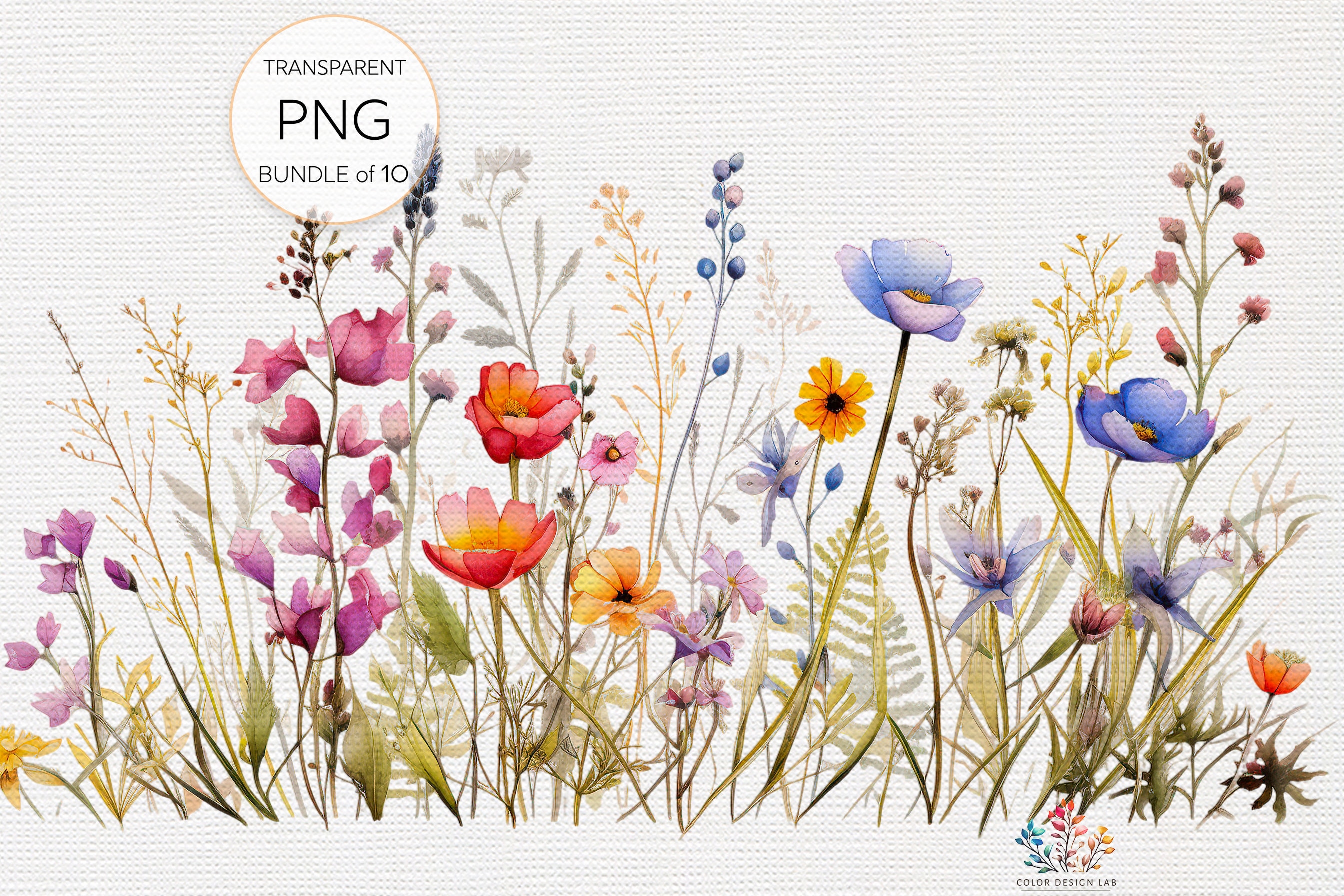 Watercolor Wildflowers Clipart Set: 10 Vibrant Design Elements - Etsy