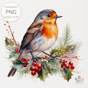 Christmas Robin Clipart: Winter Holiday Charm Vibrant Red-breasted ...