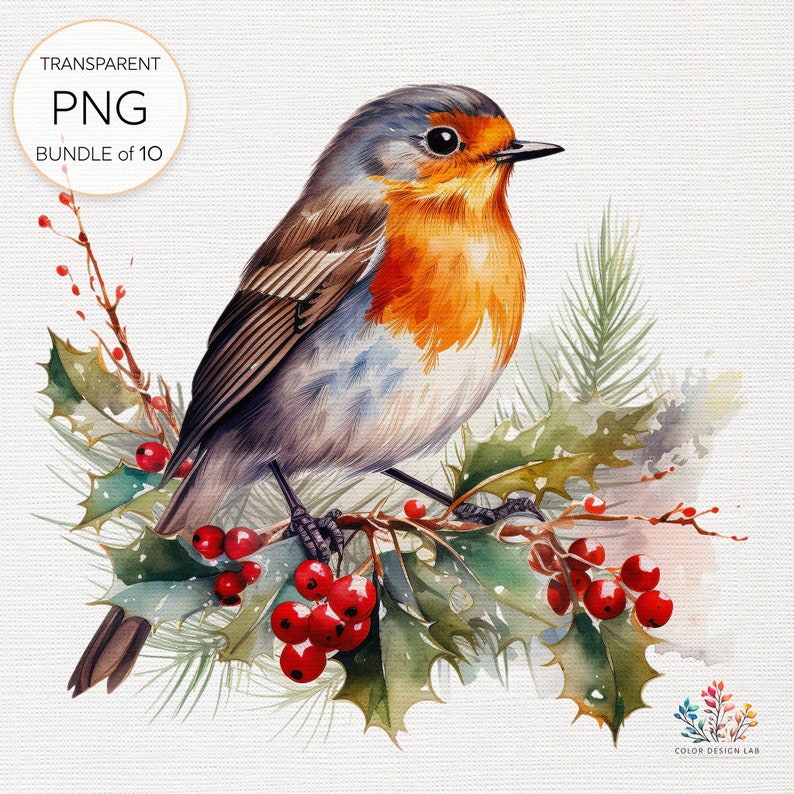 Christmas Robin Clipart: Winter Holiday Charm Vibrant Red-breasted ...