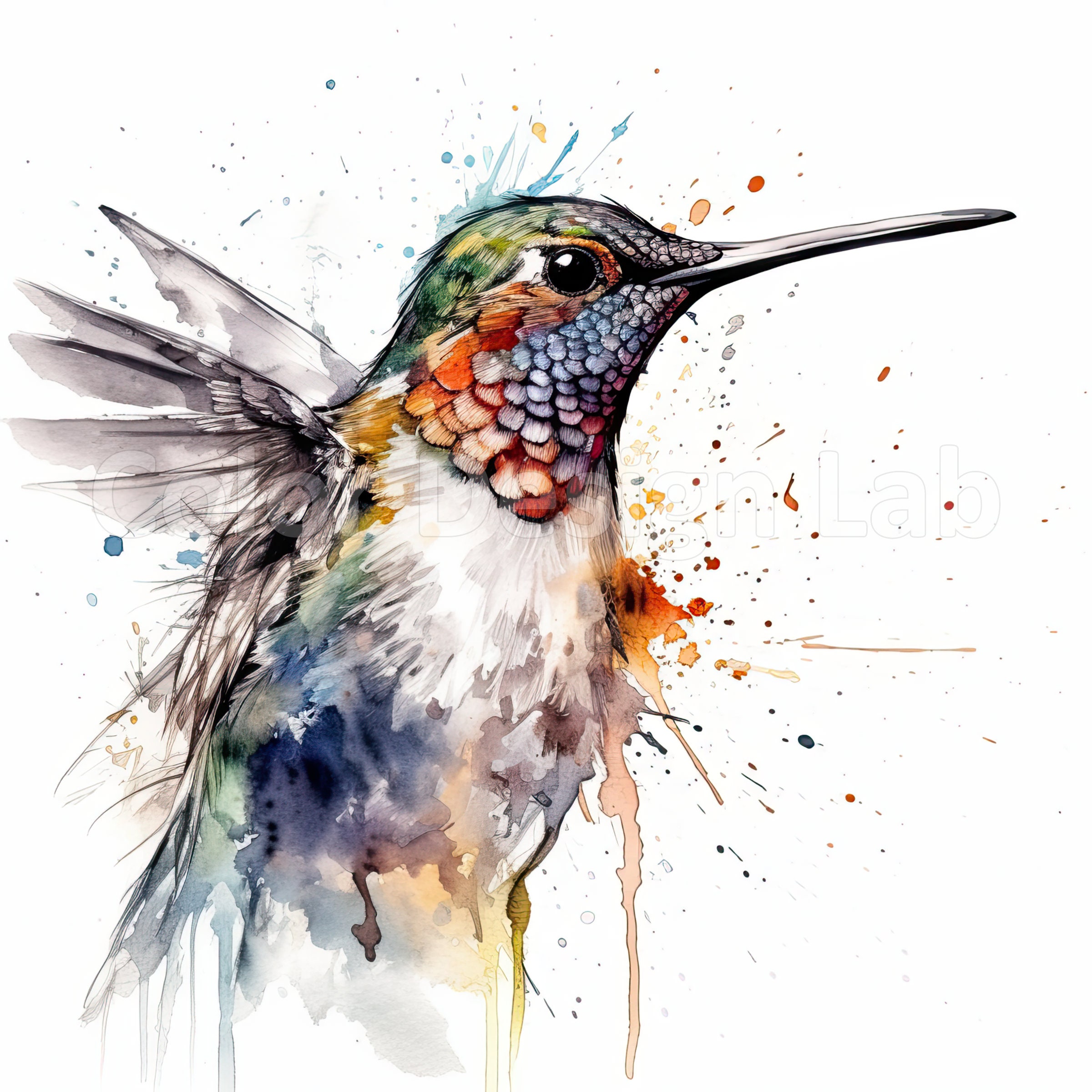 Hummingbird Clipart Set 8 Feathered Hummingbird Digital - Etsy