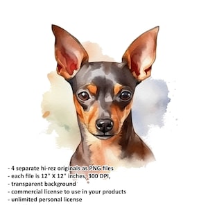 Miniature Pinscher Clipart, Hand-drawn King of Toys Art, Energetic and ...