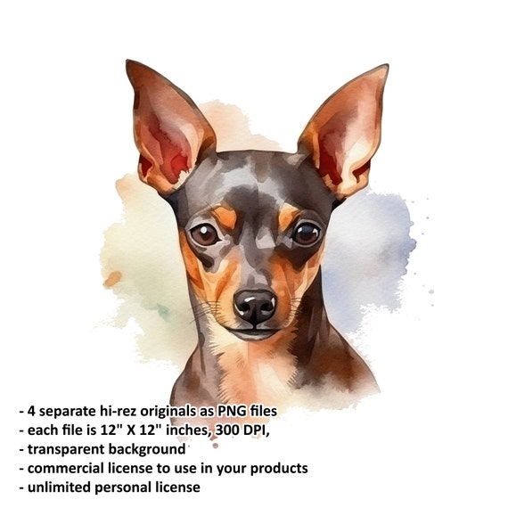 Miniture Pinscher Clipart