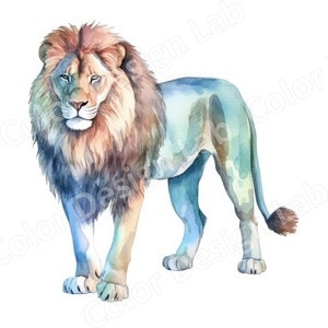 Lion Clipart, Set of 8 High Resolution PNG Images, Digital Download ...