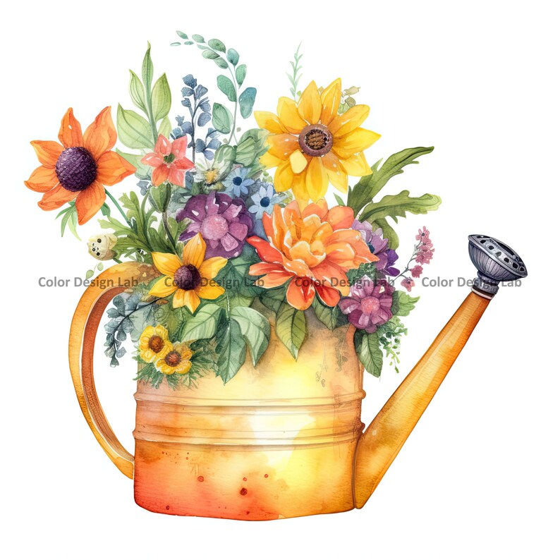 Flower Watering Can Clipart Garden Water Can Set of 12 PNG - Etsy