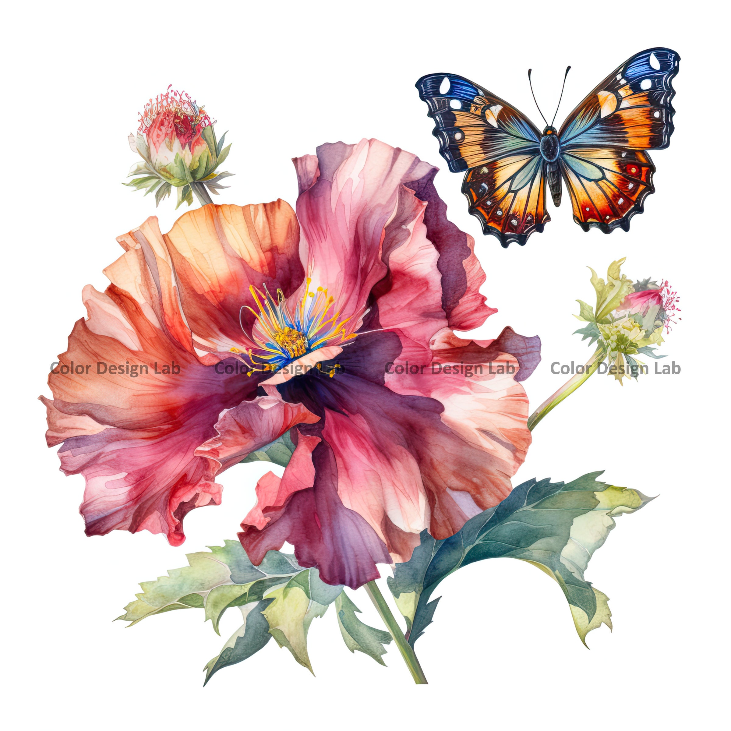 Flower and Butterfly Clipart Set of 12 High-quality Floral - Etsy