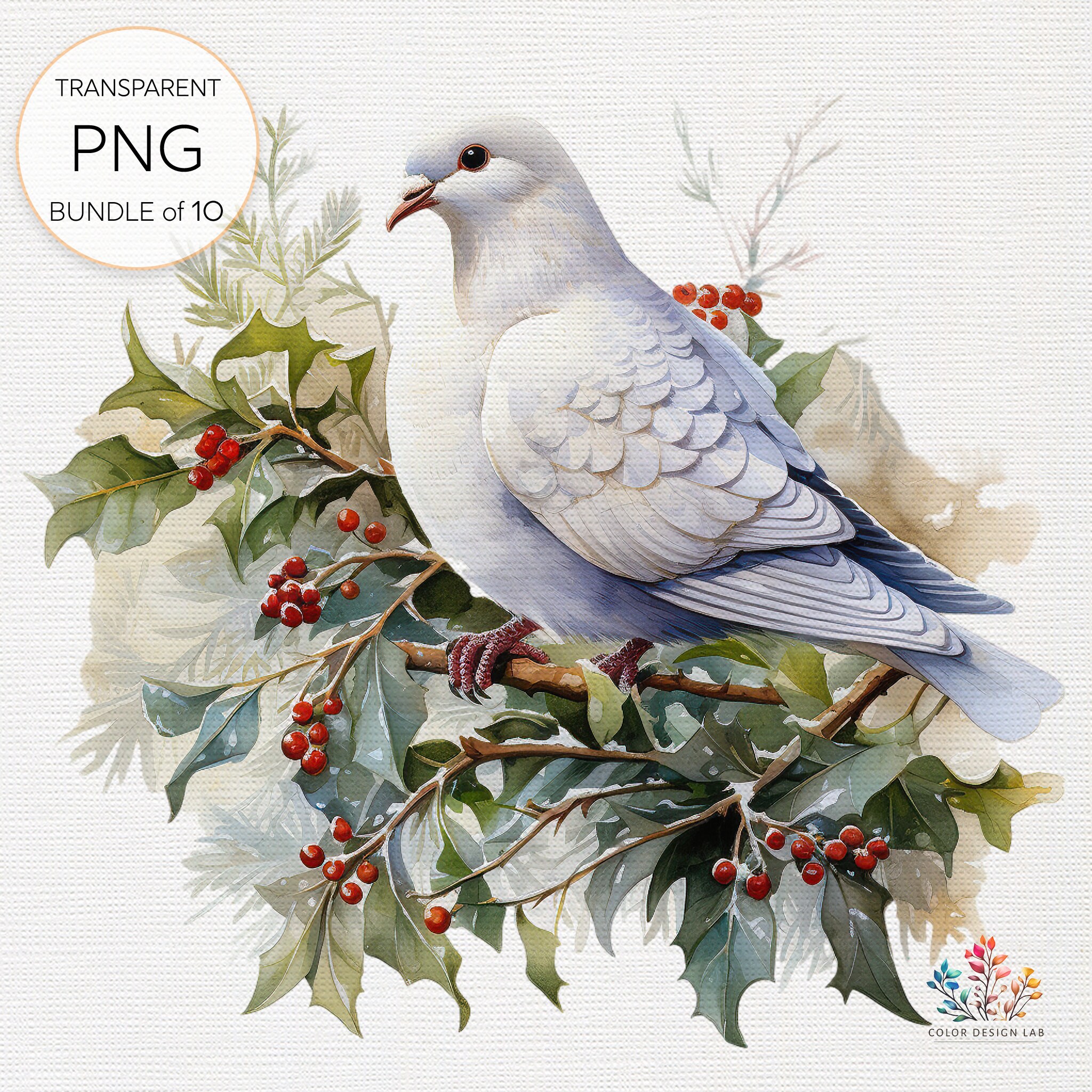 Christmas Dove Clipart, Beautiful Dove of Peace, Watercolor Christmas ...