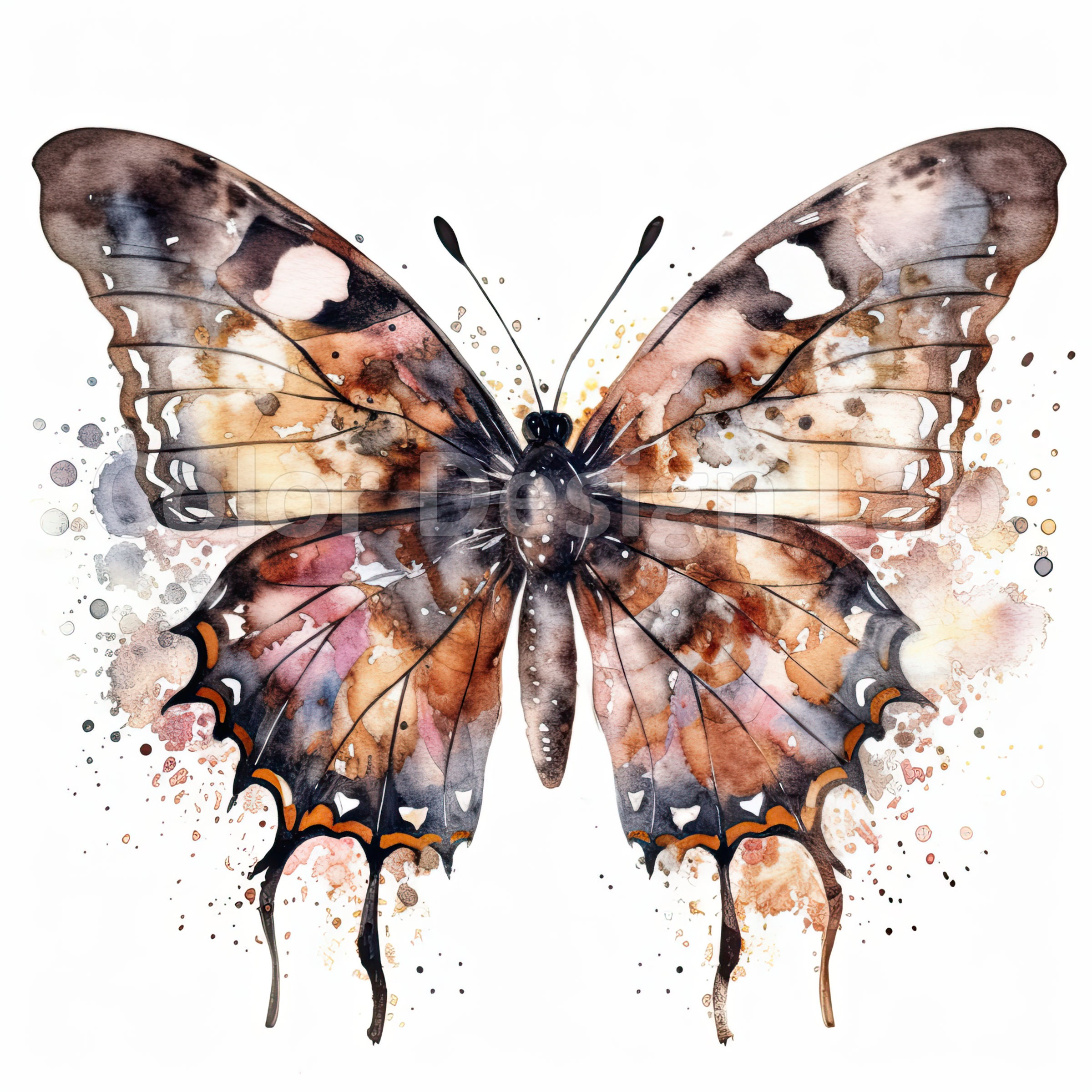Intricate Butterfly Printable Clipart 8 Colorful Butterflies - Etsy