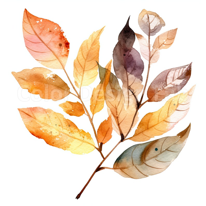 Amber Autumn Leaves Clipart 8 Printable Autumn Leaves PNG - Etsy