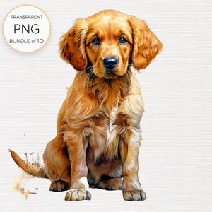 Golden Retriever Puppy Clipart - Set of 10, High-resolution PNG ...