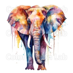 Elephant Printable Clipart Set of 8 PNG With Commercial License, High ...