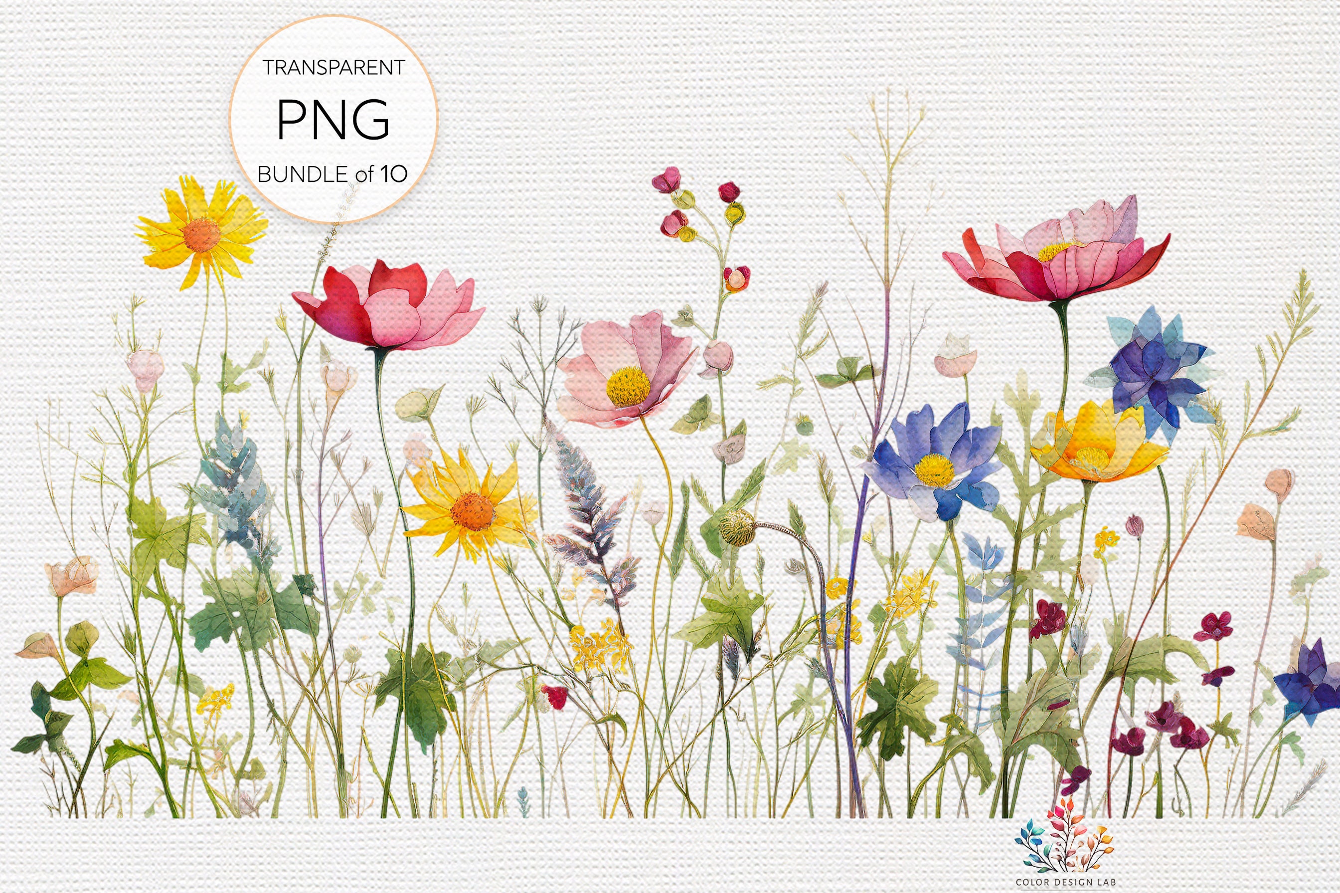Watercolor Wildflowers Clipart Set: 10 Vibrant Design Elements - Etsy