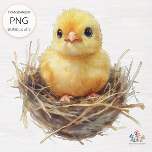 Easter Chick Watercolor Clipart Bundle: Spring Crafts PNG (digital ...