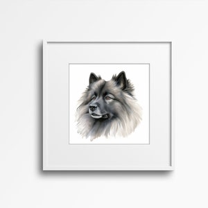 Focused Keeshond Clipart Bundle, Keeshond Digital Download, Set of 8 ...