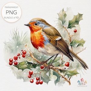 Christmas Robin Clipart: Winter Holiday Charm Vibrant Red-breasted ...