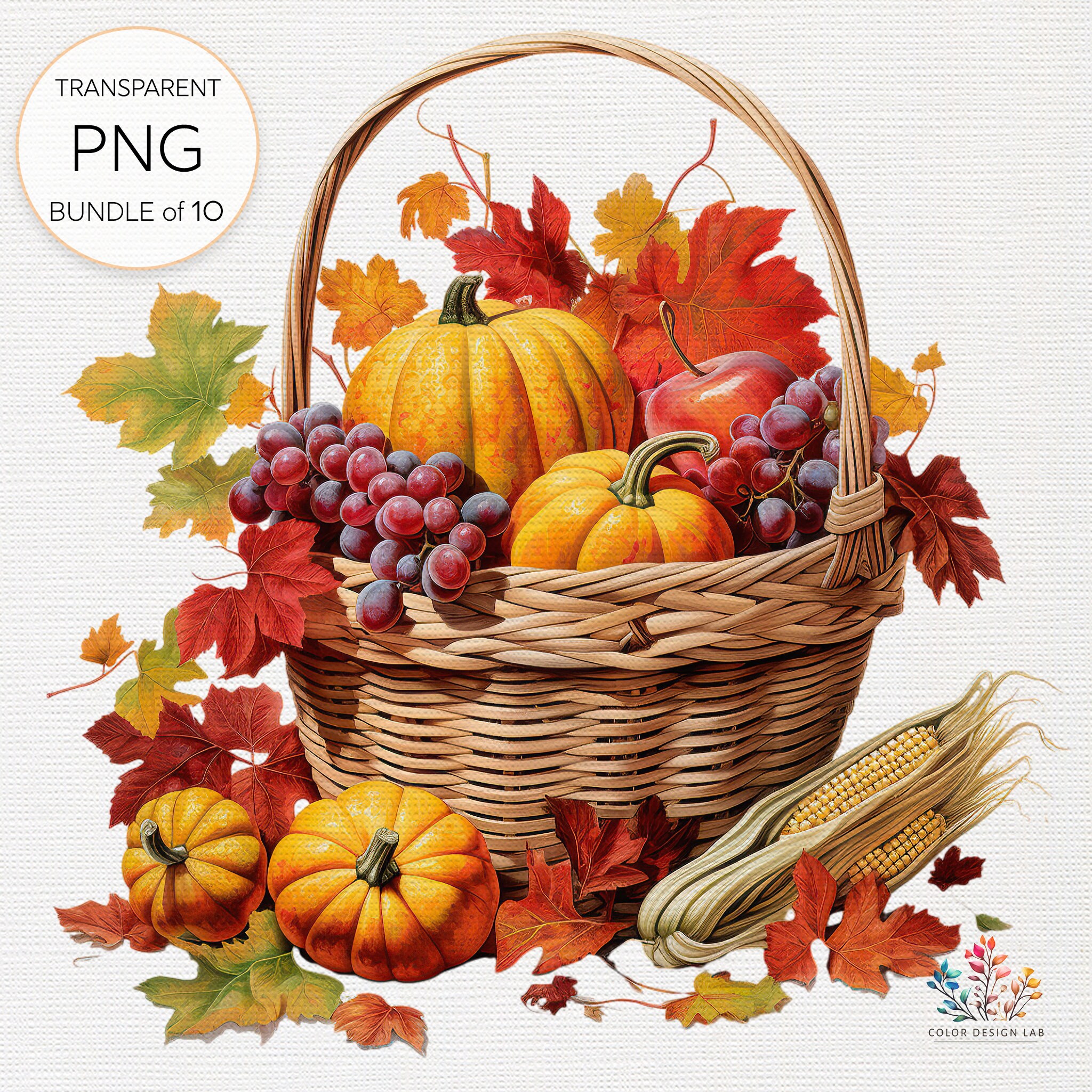 Fall Vibe Clipart: Transparent PNG Artistry Capturing - Etsy