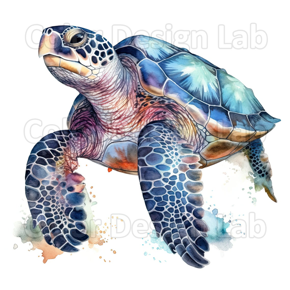 Sea Turtle Printable Clipart - 8 Pngs, Digital Download, Commercial Use ...