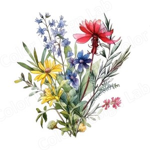 Wildflower Sketch Printable Clipart, 8 High-resolution PNG Art Images ...