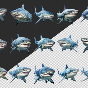 Shark Clipart Bundle - 36 High Quality Transparent Watercolor Png ...