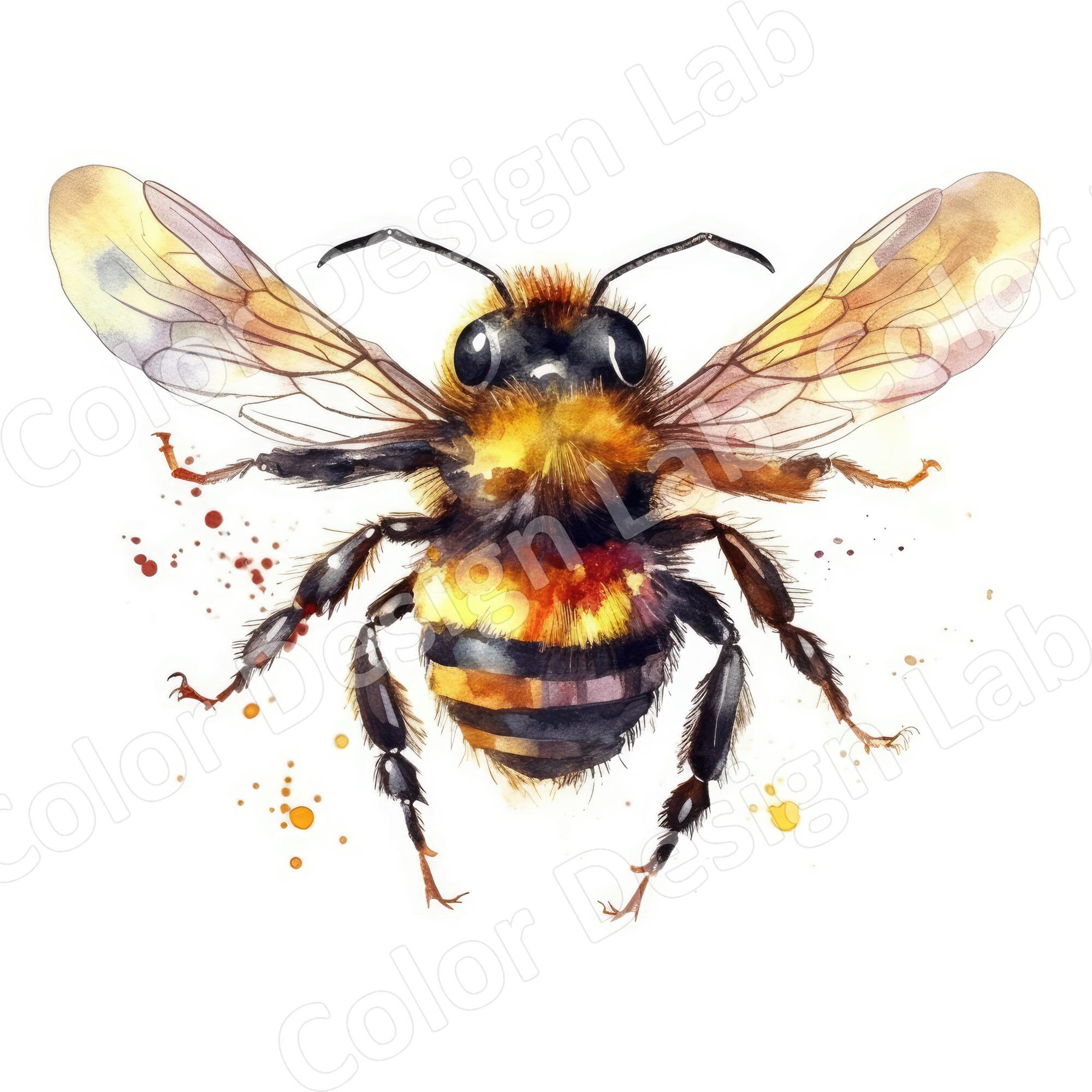 Bumblebee Clipart Set 8 Pngs of Bumbling Bee Digital - Etsy Canada