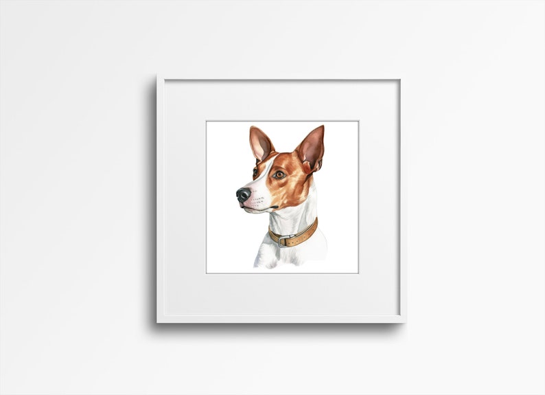 Inquisitive Basenji Printable Clipart Set 8 High-resolution - Etsy