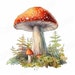 Forest Mushroom Clipart Set of 8 High-resolution PNG Art - Etsy
