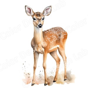 Fawn Clipart Design, Hand-drawn Baby Deer Art, Delicate and Graceful ...