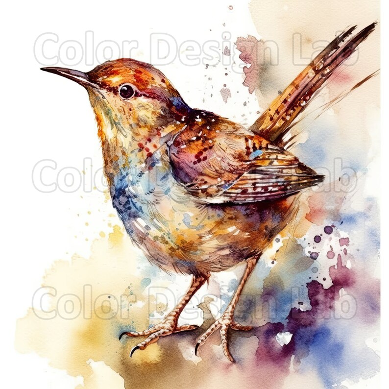 Wren Clipart Set 8 High-quality Printable Wren PNG Digital - Etsy