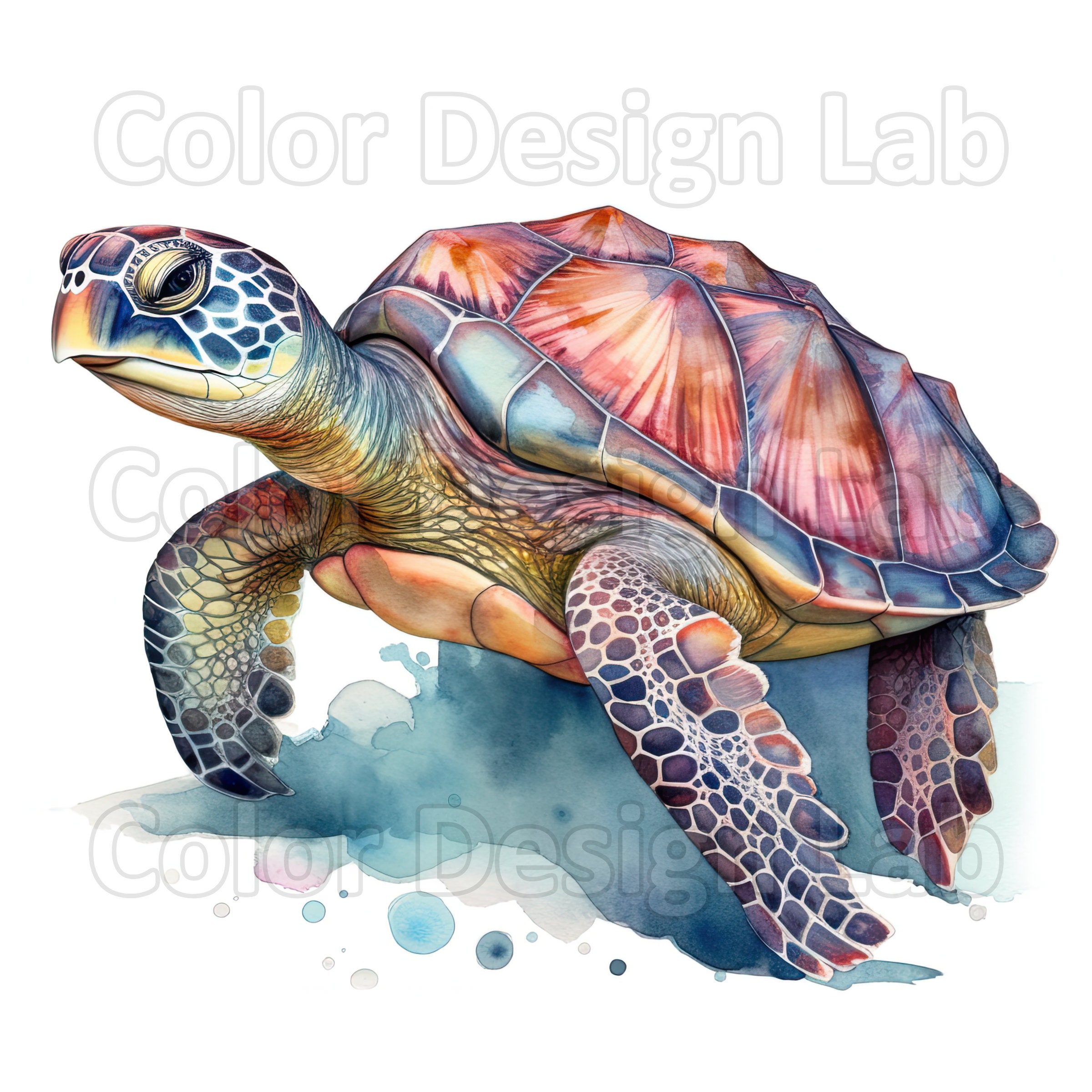 Sea Turtle Printable Clipart 8 Pngs Digital Download - Etsy