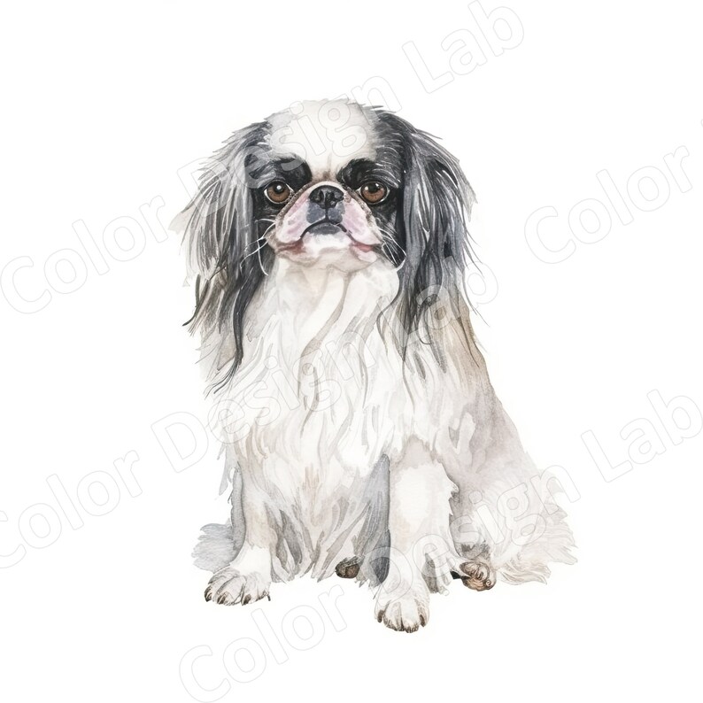 Composed Japanese Chin Clipart Set 8 Printable Images - Etsy