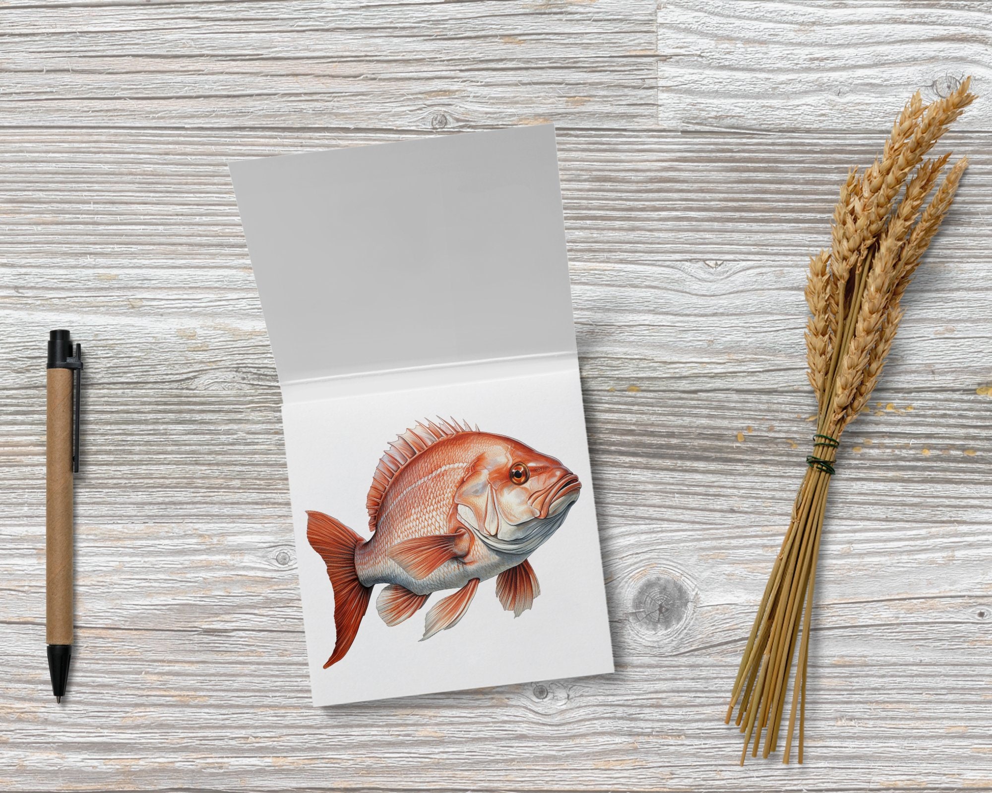 Watercolor Snapper Fish Clipart Bundle: 36 PNG Files (digital Download ...