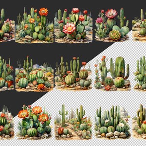 Boho Cactus Clipart Bundle of 36 Quality Transparent Watercolor Png ...