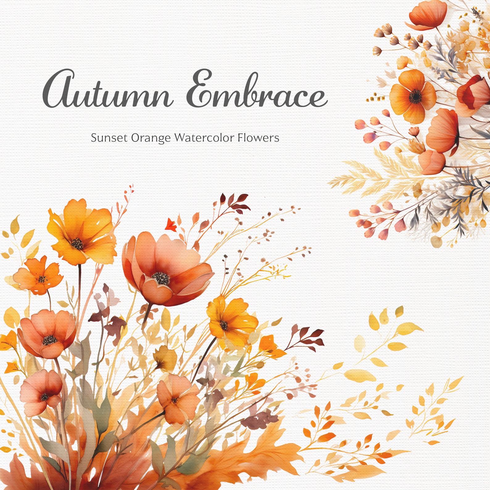 Autumn Wildflower Clipart Images, Watercolor Seasonal Design, Rustic ...