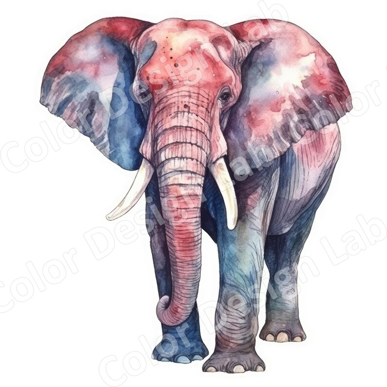 Elephant Clipart Set of 8 High-resolution Digital Images - Etsy
