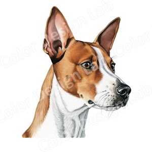 Inquisitive Basenji Printable Clipart Set, 8 High-resolution Dog Images ...