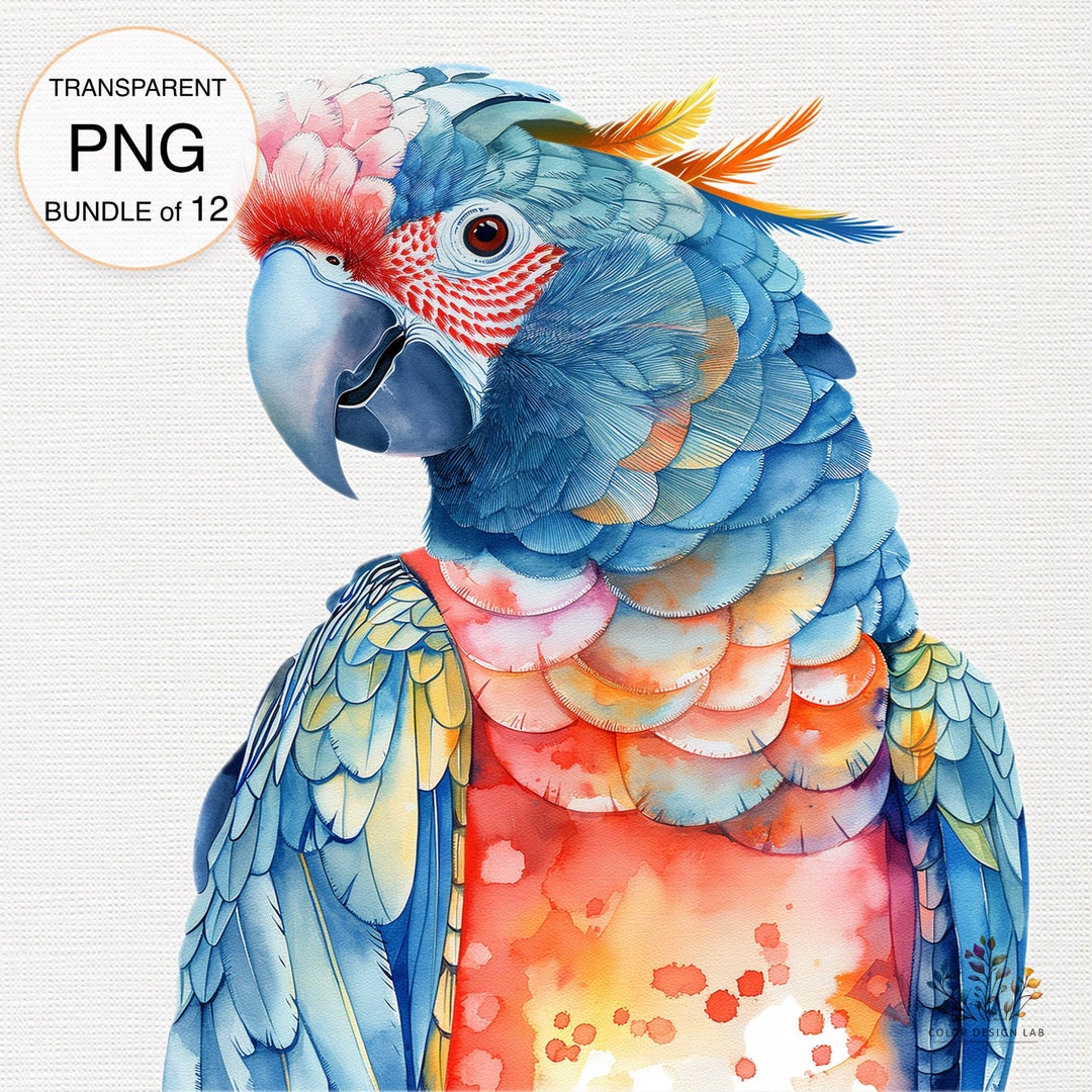 Watercolor Parrot Clipart, Tropical Bird Transparent PNG, Digital ...