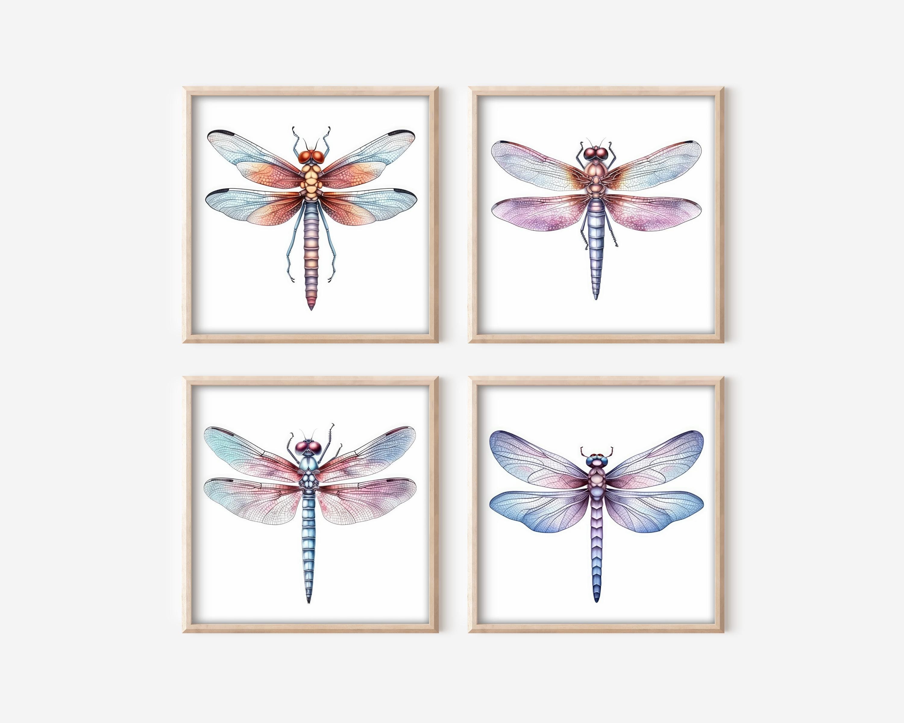 Delicate Dragonfly Printable Clipart Set 8 Pngs Digital - Etsy