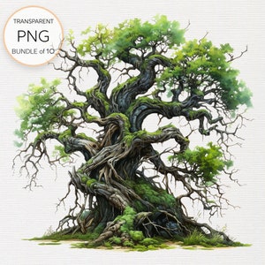 Watercolor Gothic Trees Set of 10 Clipart Pngs for Mystical Creations ...