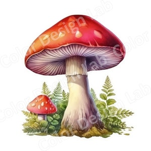 Forest Mushroom Clipart, Set of 8 High-resolution PNG Art Images ...