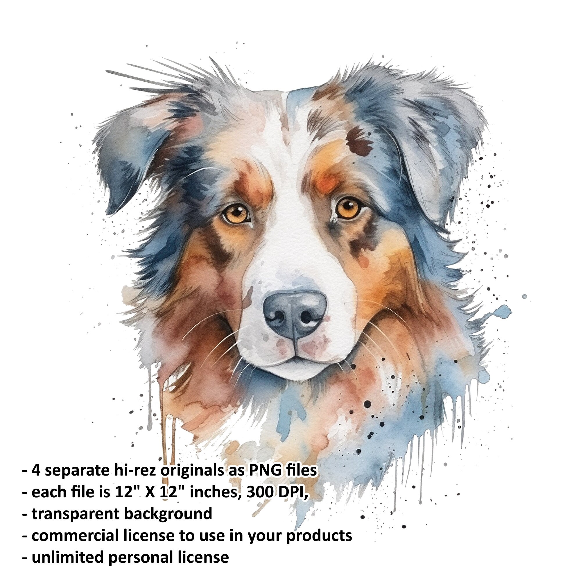 Australian Shepherd Watercolor Art Print Energetic Dog - Etsy
