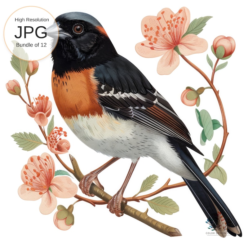 Towhee - Etsy