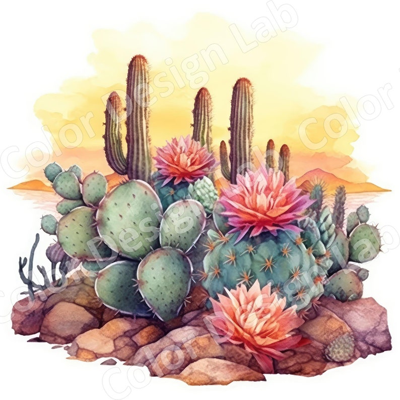 Sunset Cacti Printable Clipart Set, 8 High-resolution Pngs, Digital ...