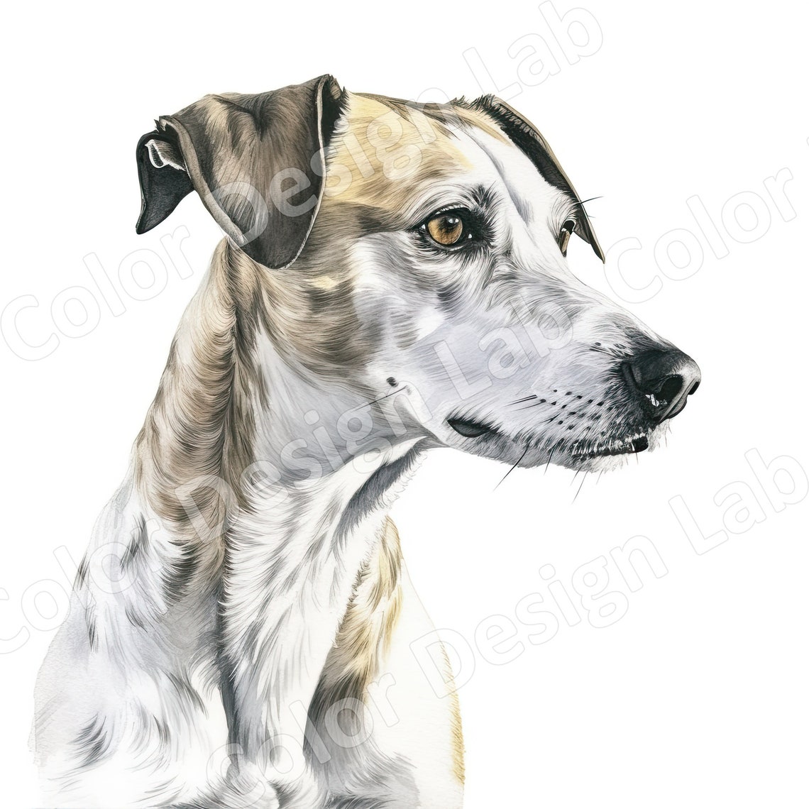 Whippet Clipart Design, Hand-drawn Sighthound Art, Sleek and Athletic ...