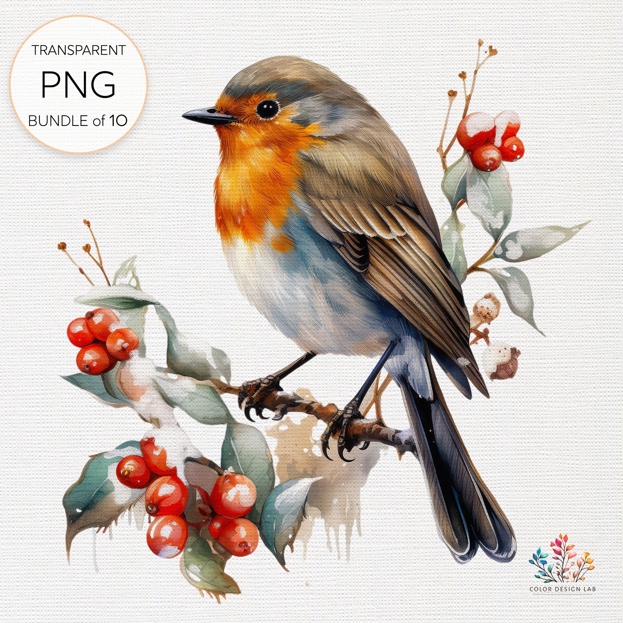 Christmas Robin Clipart: Winter Holiday Charm Vibrant Red-breasted ...