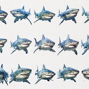 Shark Clipart Bundle - 36 High Quality Transparent Watercolor Png ...