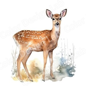 Fawn Clipart Design, Hand-drawn Baby Deer Art, Delicate and Graceful ...