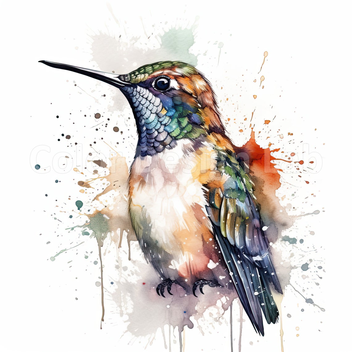 Hummingbird Clipart Set 8 Feathered Hummingbird Digital - Etsy