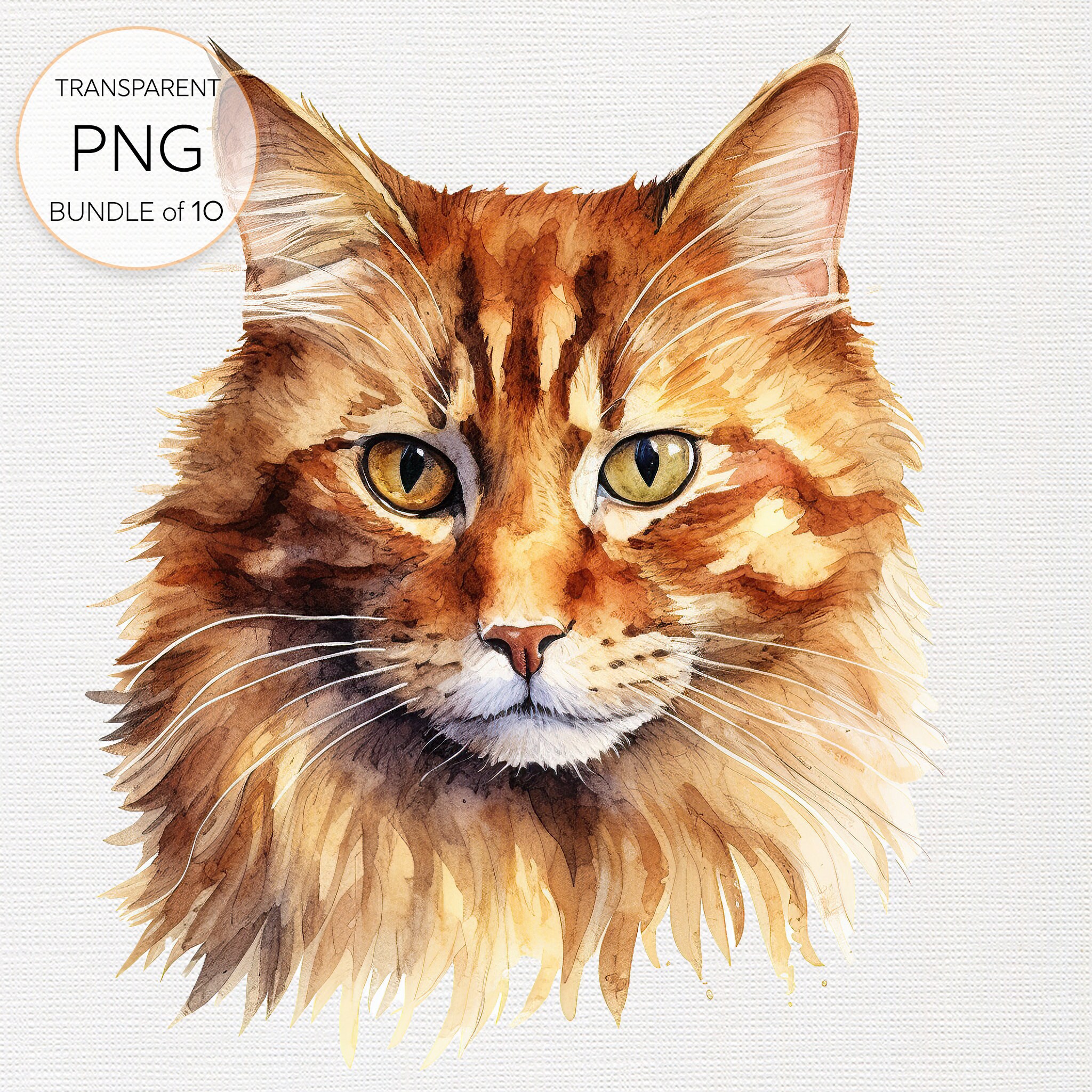 Brown Cat Clipart Image Hand-drawn Furry Feline Design - Etsy