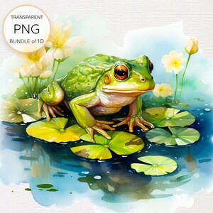 Frog on Lily Pad Clipart - Adorable Amphibian Illustration PNG, Pond ...