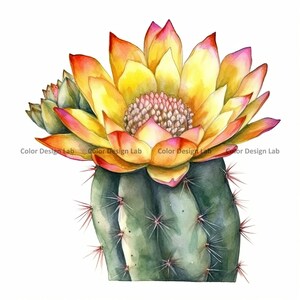 Cactus With Flower Clipart - Set of 12 PNG - Digital Download - Perfect ...